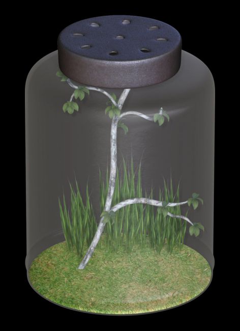 Fairy Jar | 3d Models for Daz Studio and Poser