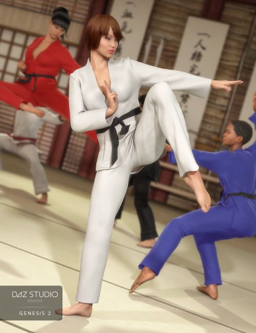 Lee 6 Karate Bundle | 3d Models for Daz Studio and Poser