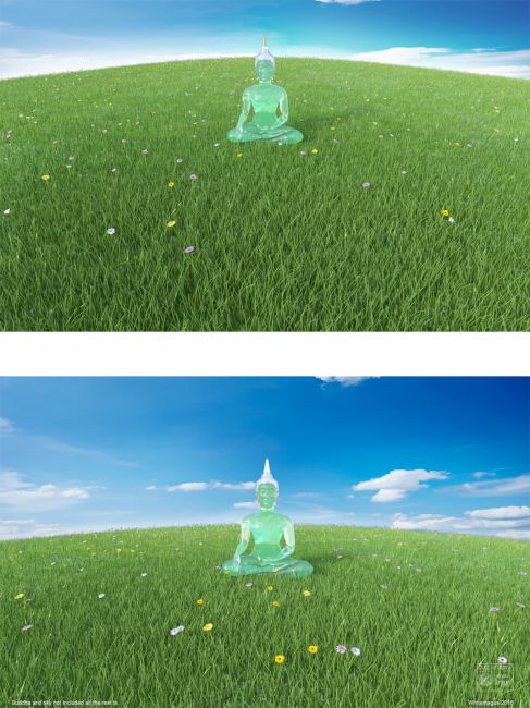 Realistic Grass Ultimate | 3d Models for Daz Studio and Poser