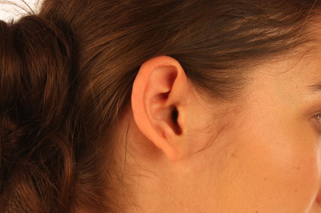 Human Reference Photos (Madame Bink) | 3d Models for Daz Studio and Poser