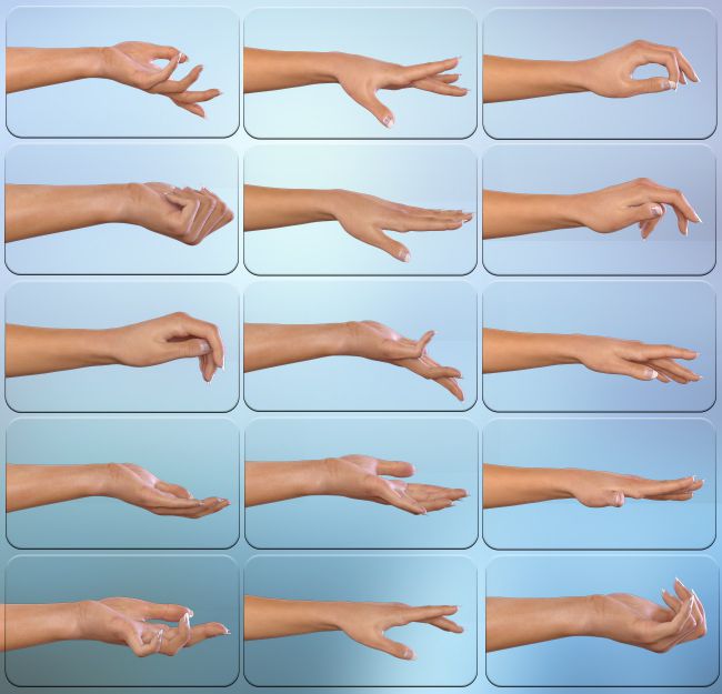 Z Gorgeous Hands - Hand Poses for Genesis 8 Female | 3D models for Daz ...