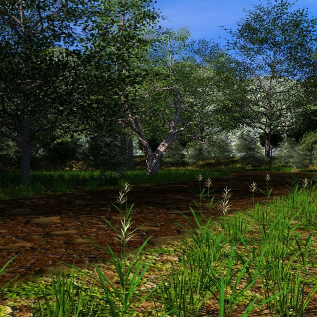 Dirt Road | 3d Models for Daz Studio and Poser