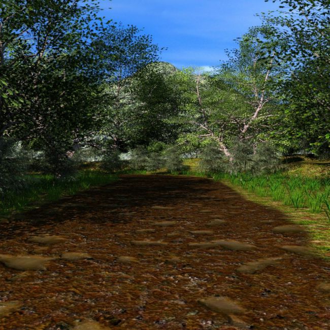 Dirt Road | 3d Models for Daz Studio and Poser
