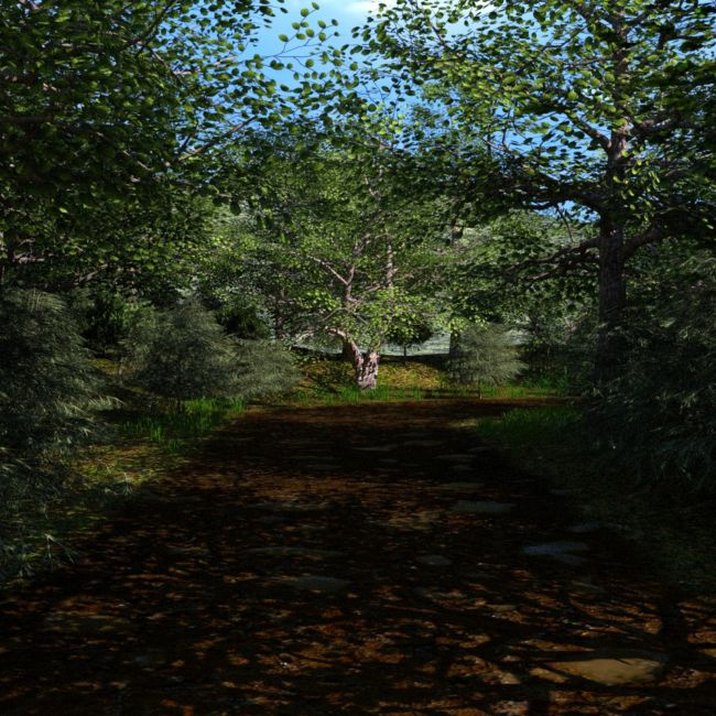 Dirt Road | 3d Models for Daz Studio and Poser