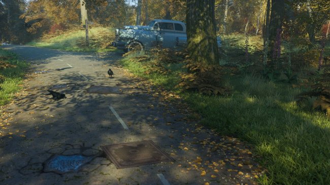 Road Markings and Potholes - Decals for Daz Studio | 3d Models for Daz ...