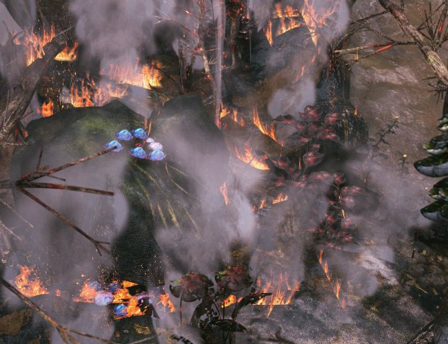 XI Elven Forest Burnt Add-On | 3d Models for Daz Studio and Poser