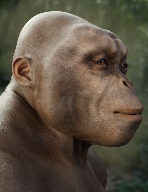 Ape World Orangutan for Genesis 9 | 3d Models for Daz Studio and Poser