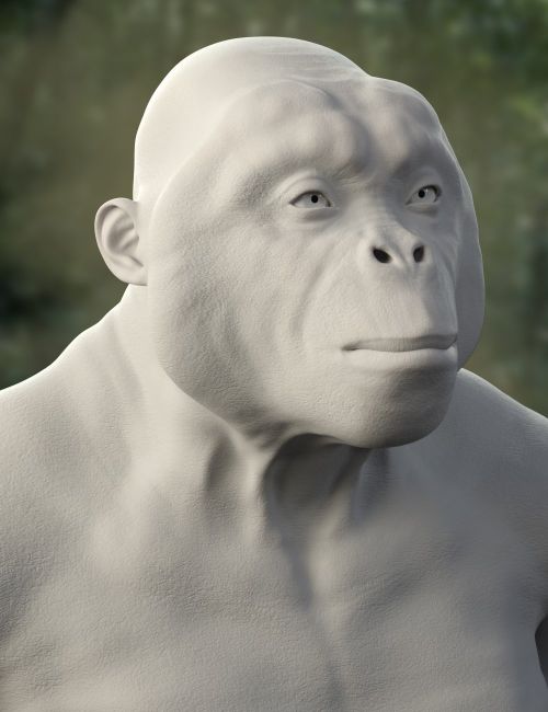 Ape World Orangutan for Genesis 9 | 3d Models for Daz Studio and Poser