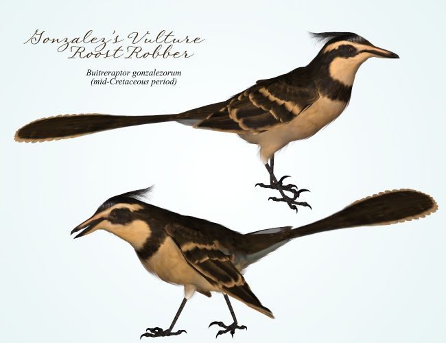 Songbird ReMix Birds of the Mesozoic | 3d Models for Daz Studio and Poser