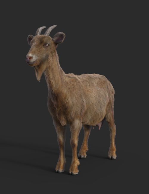 Skins and Poses Addon for Goat by AM | 3d Models for Daz Studio and Poser