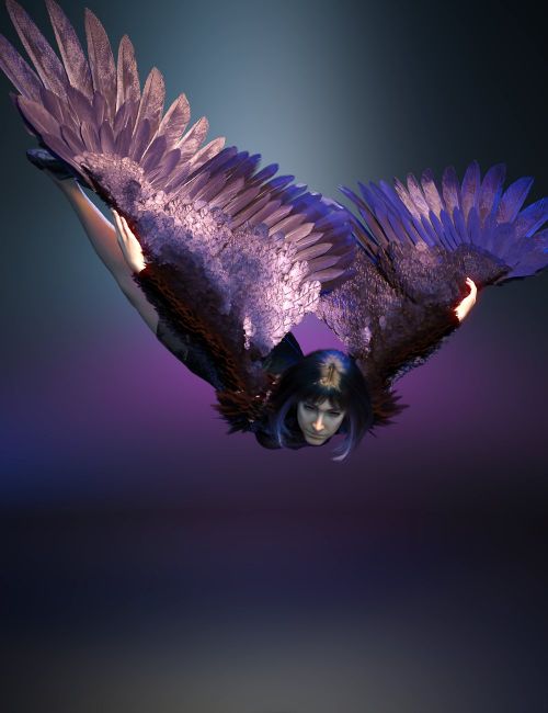 Raven Wing Poses for Genesis 9 and Aello Wings | 3d Models for Daz ...
